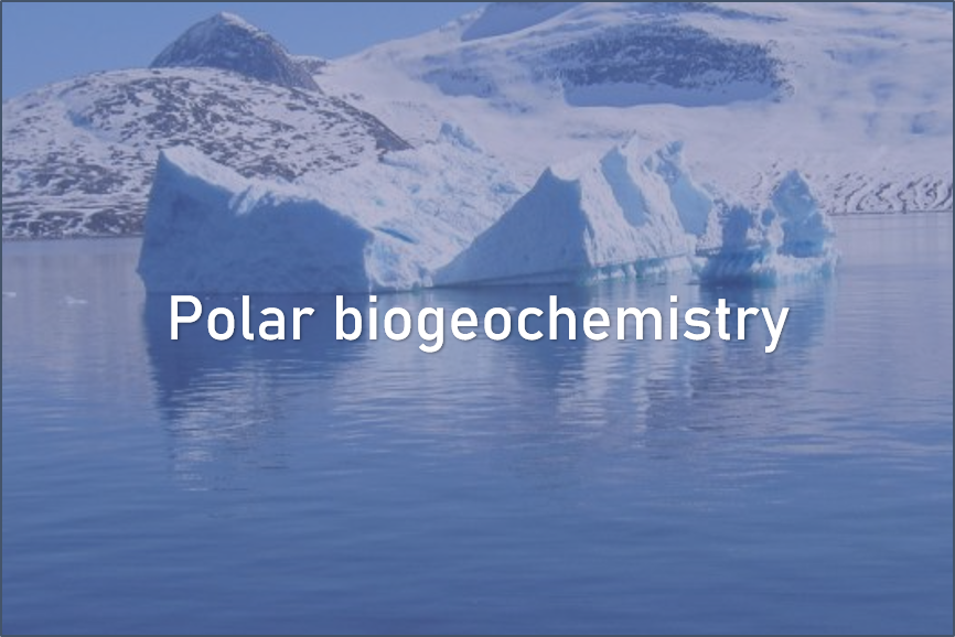 Profiles Biogeochemistry 1 – Scripps Polar Center